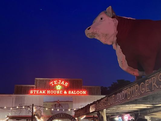 TEJAS RODEO - Updated January 2025 - 217 Photos & 160 Reviews - 401 ...