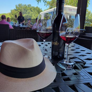 OPOLO VINEYARDS - Updated July 2024 - 680 Photos & 599 Reviews - 7110 ...