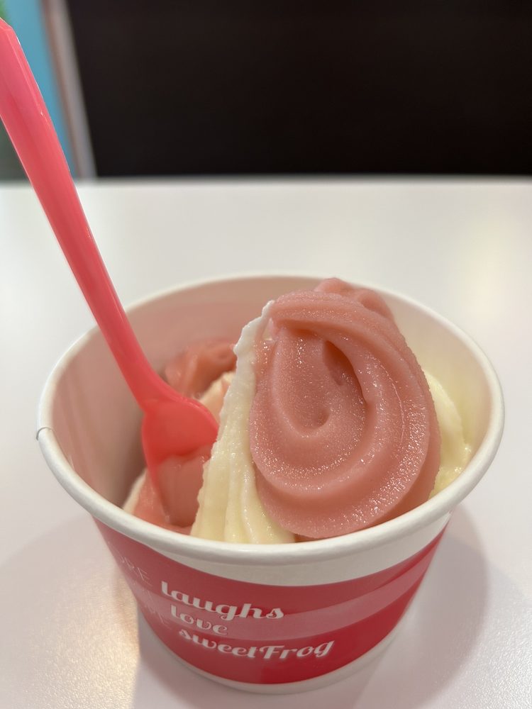 SWEETFROG PREMIUM FROZEN YOGURT - Updated January 2025 - 36 Reviews ...