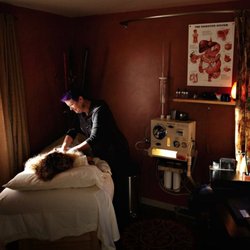 TUMMY TEMPLE - 39 Photos & 71 Reviews - 7812 Lake City Way NE, Seattle ...