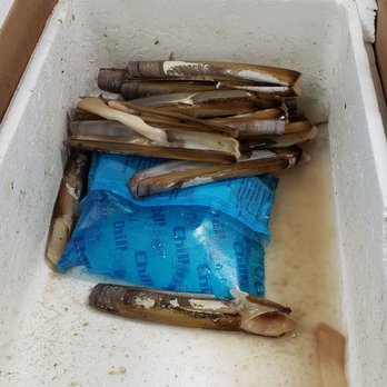 LOS ANGELES FISH COMPANY - Updated October 2025 - 165 Photos & 107 ...