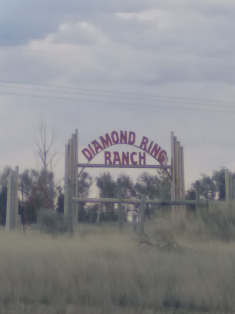 DIAMOND RING RANCH - Updated April 2025 - E Of Miles City, Miles City ...