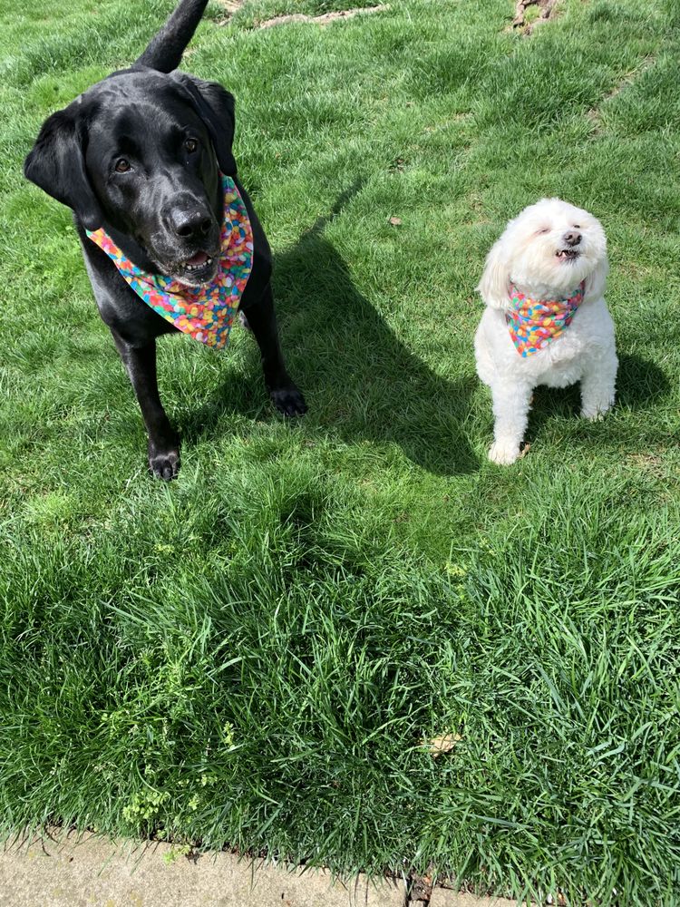 TWO RIVERS ANIMAL HOSPITAL - 19 Photos & 14 Reviews - Veterinarians ...