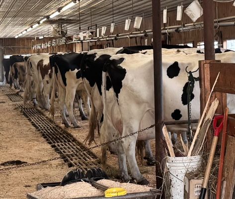 SMILING HILL FARM - Updated December 2025 - 184 Photos & 70 Reviews ...