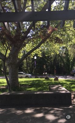 DANVILLE LIBRARY - Updated August 2025 - 57 Photos & 49 Reviews - 400 ...