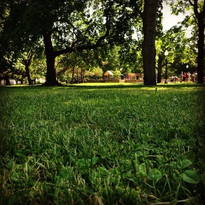 LIPPITT MEMORIAL PARK - Updated January 2026 - 54 Photos & 19 Reviews ...