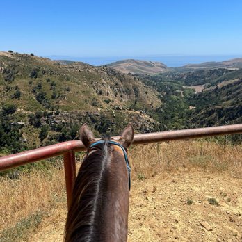 CIRCLE BAR B STABLES - Updated October 2024 - 667 Photos & 460 Reviews ...