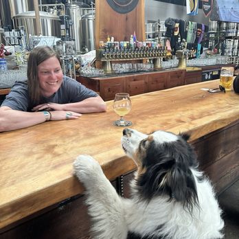 STANDARD DEVIANT BREWING - Updated April 2025 - 285 Photos & 216 Reviews - 280 14th St, San ...