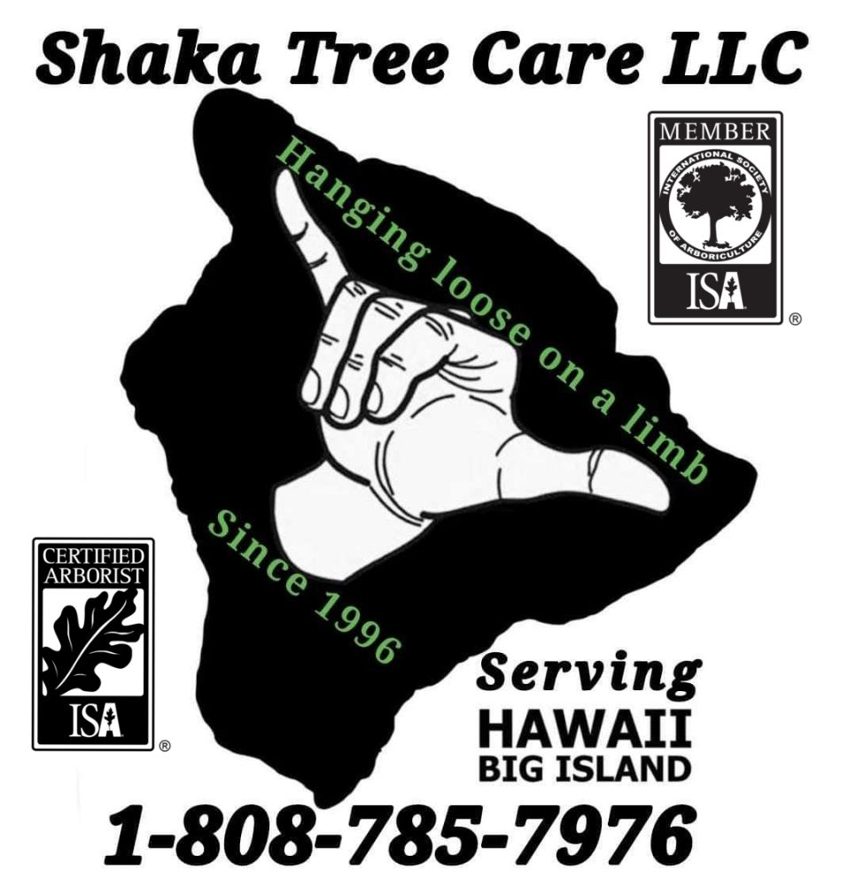 SHAKA TREE CARE - Updated May 2024 - 46 Photos - Mountain View, Hawaii ...