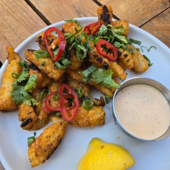 SALTLIK - Updated December 2025 - 243 Photos & 228 Reviews - 101 8 ...