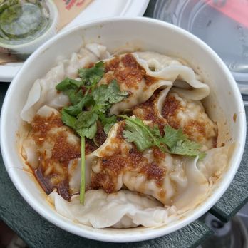 THE DUMPLING LADY - Updated March 2025 - 761 Photos & 518 Reviews ...