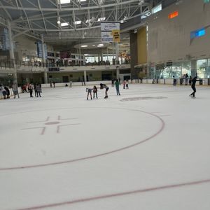 ICE AT THE PARKS - 37 Photos & 12 Reviews - Skating Rinks - 3815 S ...