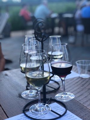 7 VINES VINEYARD - Updated July 2025 - 188 Photos & 62 Reviews - 101 ...