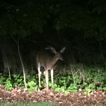 ST. BONAVENTURE UNIVERSITY - Updated December 2025 - 3261 W State Rd St ...