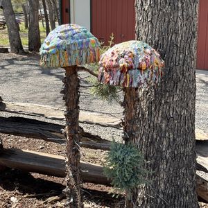 CATTLE CAMP CAMPGROUND - CA-89, McCloud, California - Campgrounds ...