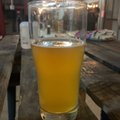 NO LABEL BREWING - 212 Photos & 173 Reviews - Breweries - 5351 1st St ...