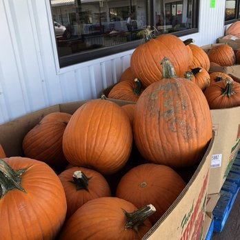 BEACHY’S BULK FOODS - Updated June 2025 - 47 Photos & 35 Reviews - 259 ...