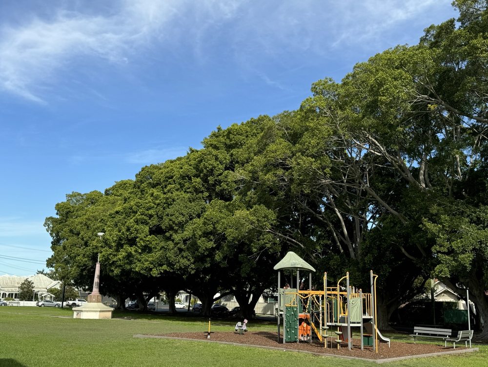 WEBB PARK - Updated October 2024 - Waratah St, Mayfield New South Wales ...