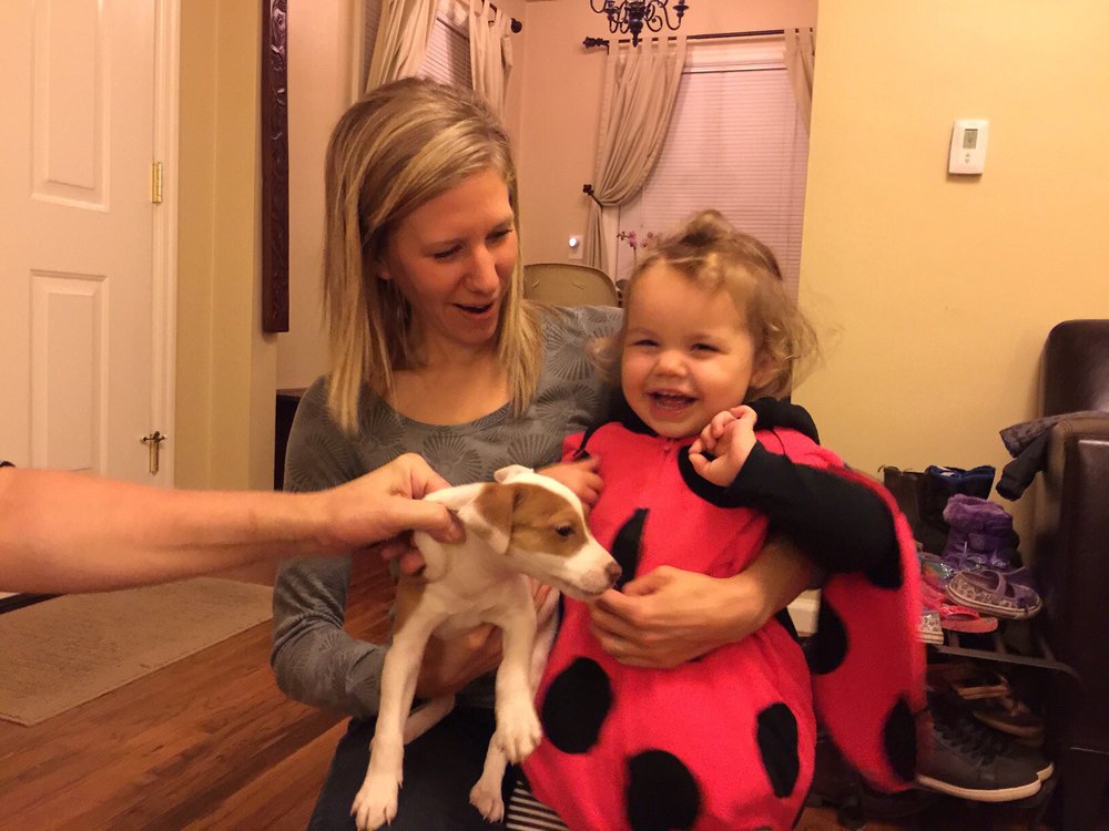 HOWDEE KENNEL - Updated October 2025 - 9310 Hammer Rd, Lynden ...