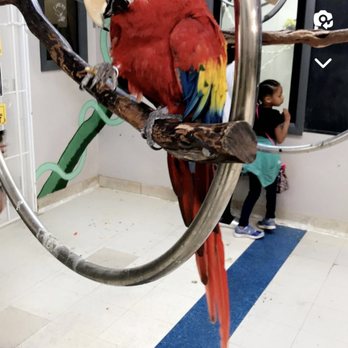 ARIZONA BIRD STORE - Updated October 2025 - 48 Photos & 70 Reviews ...