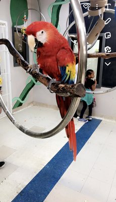 ARIZONA BIRD STORE - Updated October 2025 - 48 Photos & 70 Reviews ...