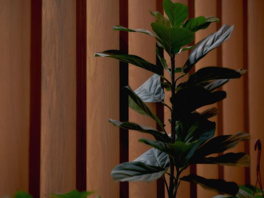 LONG BEACH RISING - Updated June 2025 - 72 Photos & 66 Reviews - 205 E ...