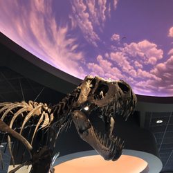 CERRITOS LIBRARY - 1092 Photos & 409 Reviews - 18025 Bloomfield Ave ...