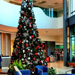 ATRIUM HEALTH MERCY, A FACILITY OF CAROLINAS MEDICAL CENTER - Updated ...