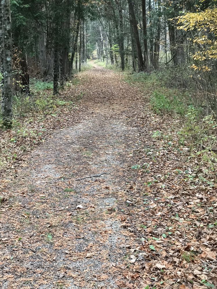 CHERNEY MARIBEL CAVES COUNTY PARK - Updated September 2024 - 25 Photos ...