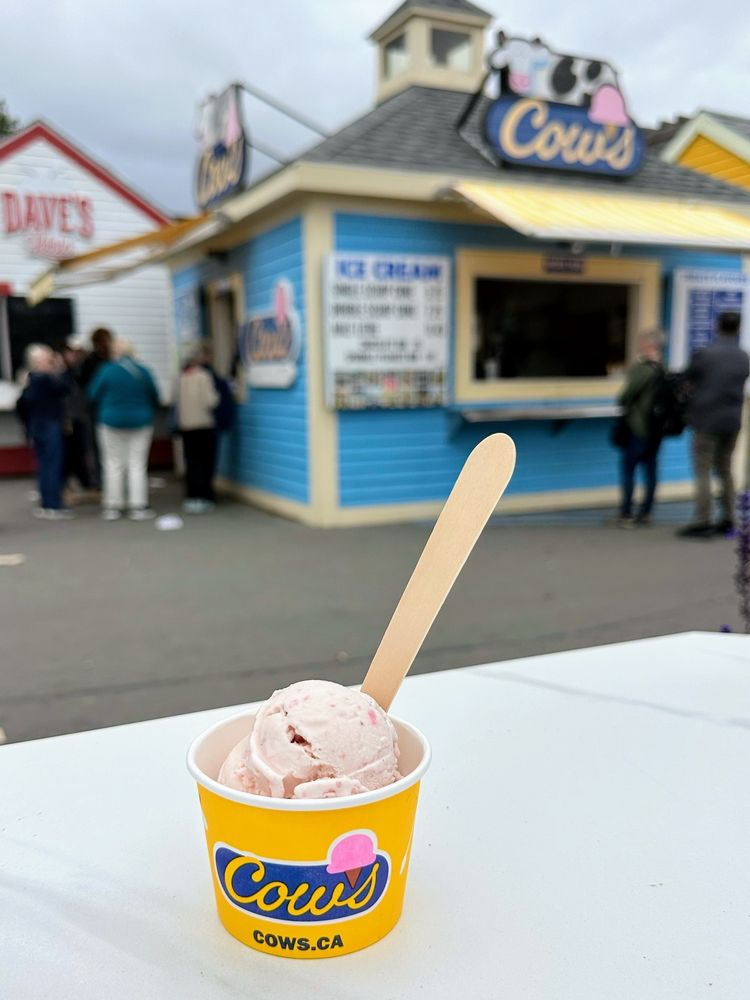 COWS - WATERFRONT KIOSK - Updated December 2025 - 12 Photos - 1549 ...