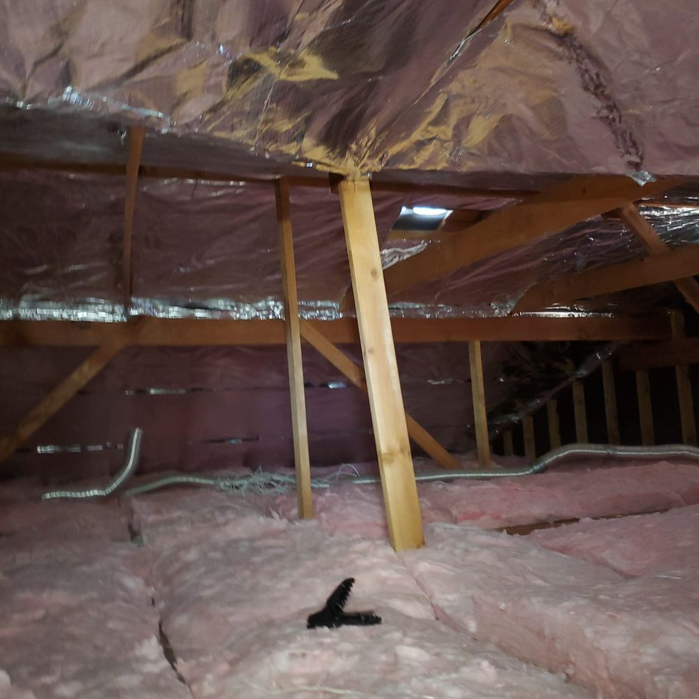 PRO INSULATION & RODENTS - Updated November 2024 - 209 Photos & 18 Reviews - San Jose ...
