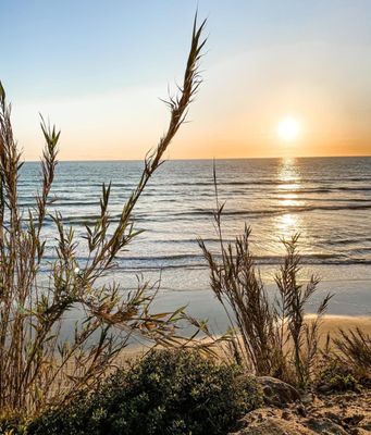 DEL MAR CITY BEACH - Updated 2024 - 429 Photos & 92 Reviews - 1700 ...