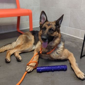 ARIZONA HUMANE SOCIETY - PAPAGO PARK CAMPUS - Updated February 2026 ...