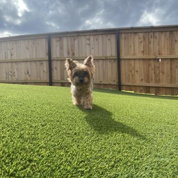 RILEY’S RANCH PET RESORT - Updated December 2025 - 13 Photos & 12 ...