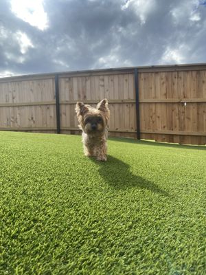 RILEY’S RANCH PET RESORT - Updated October 2025 - 13 Photos & 11 ...