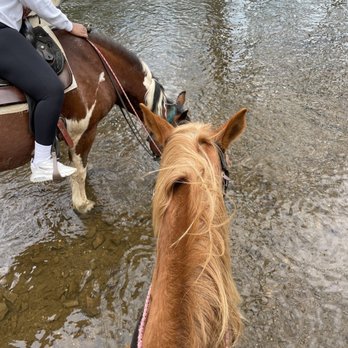 SHEEDER MILL FARM - Updated August 2025 - 96 Photos & 55 Reviews - 12 ...