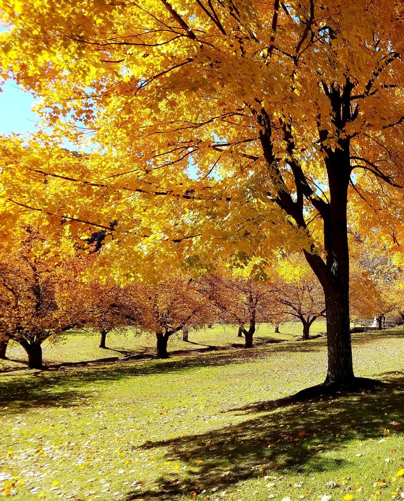 HURD PARK - Updated December 2025 - 53 Photos - W Blackwell St & Park ...