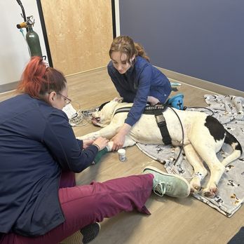 FERN HILL VETERINARY CARE - Updated October 2025 - 10 Photos & 25 ...