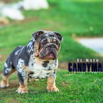 DR. BUTCHKO - Updated August 2024 - 43 Photos & 74 Reviews - 5448 ...