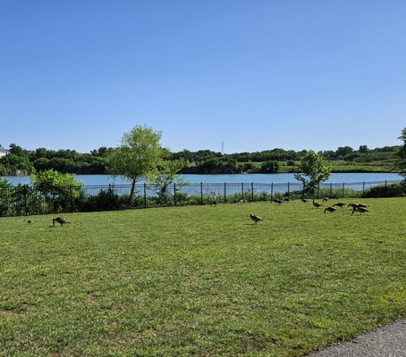 QUARRY PLACE LOOP - Updated November 2025 - 36 Photos - 520 Quarry View ...