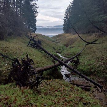 HENRY HAGG LAKE / SCOGGINS VALLEY PARK - Updated October 2025 - 82 ...