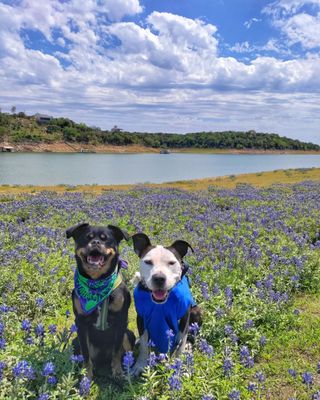 MULESHOE BEND RECREATION AREA - 117 Photos & 15 Reviews - Parks - 2820 ...
