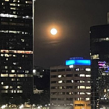 PERCHERON ROOFTOP BAR - Updated July 2025 - 162 Photos & 113 Reviews ...