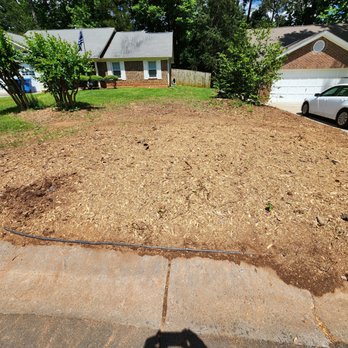 M&J TREE SERVICE - Updated December 2025 - 41 Photos & 11 Reviews ...