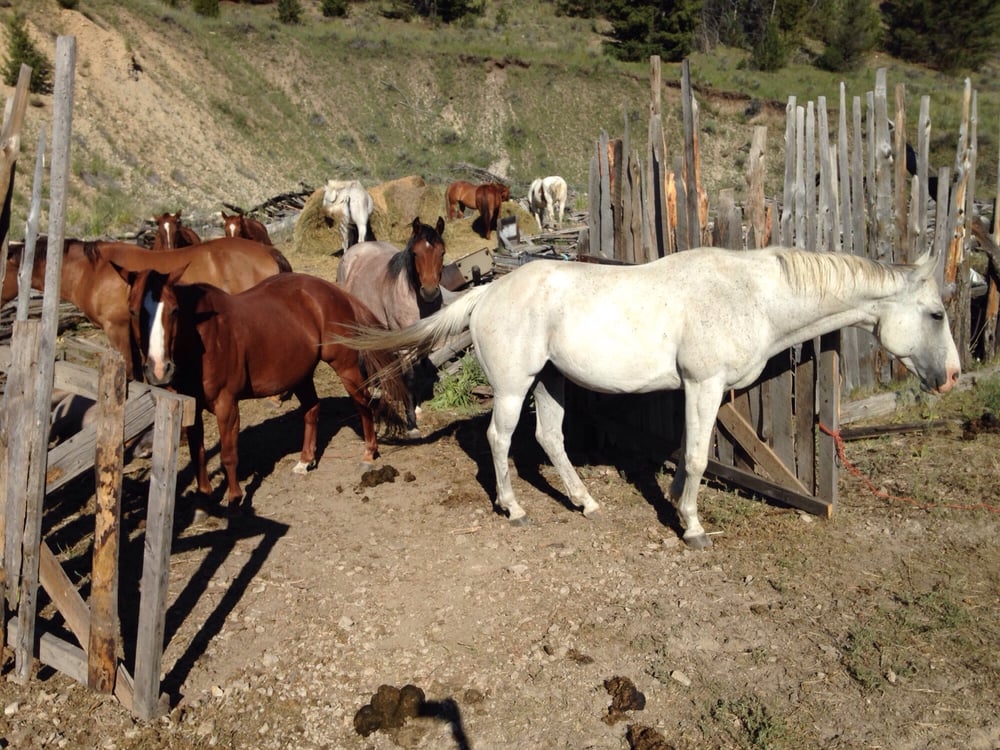 PINON SPRINGS RANCH - Updated January 2025 - 1600 N Cable Rd, Anaconda ...