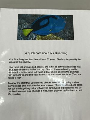 KUHN VOLKSWAGEN - Updated December 2025 - 59 Photos & 206 Reviews ...