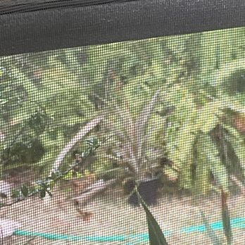 JESSE DURKO’S NURSERY - Updated September 2024 - 96 Photos & 36 Reviews ...