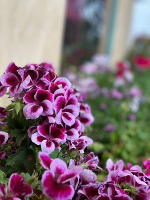 WAVE STREET CAFÉ - Updated May 2025 - 1403 Photos & 1165 Reviews - 550 ...