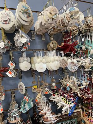 CALIFORNIA SEASHELL COMPANY - Updated January 2026 - 104 Photos & 100 ...