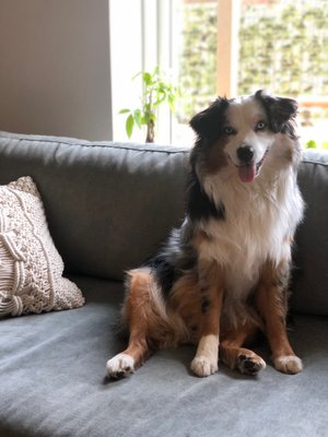 KAIYO - 51 Photos & 34 Reviews - Washington DC, District of Columbia ...